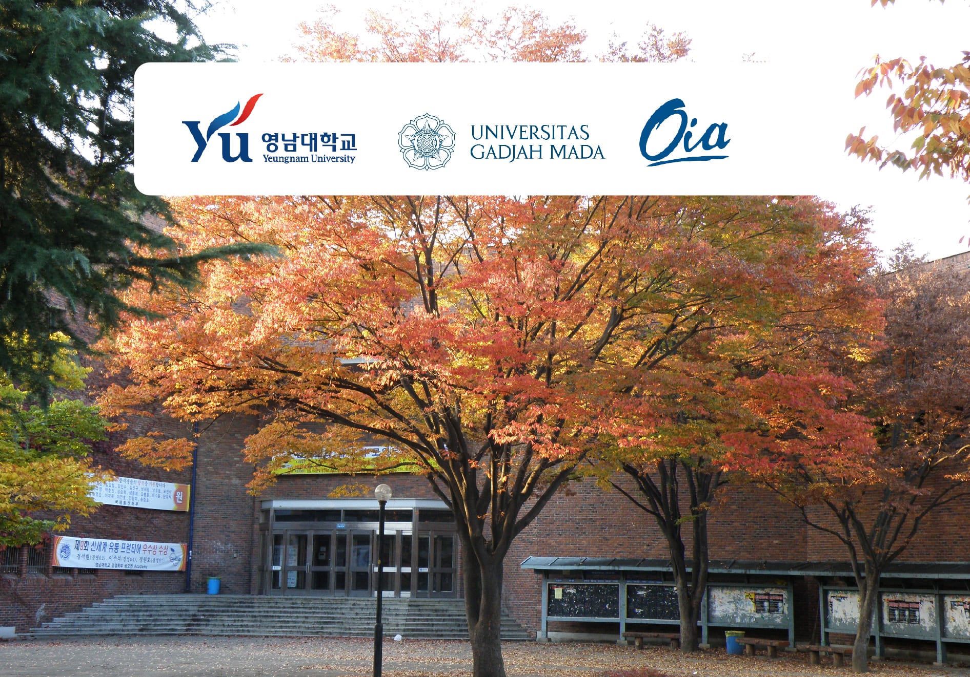 [South Korea] Yeungnam University Exchange Program Spring Semester 2023 ...
